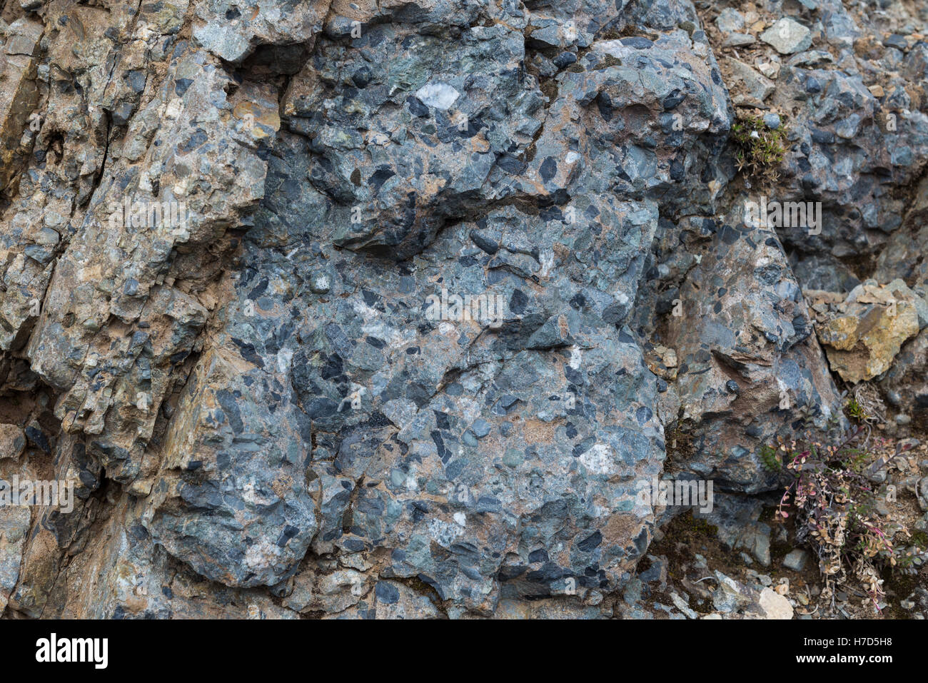 Conglomerate sedimentary rock hi-res stock photography and images - Alamy