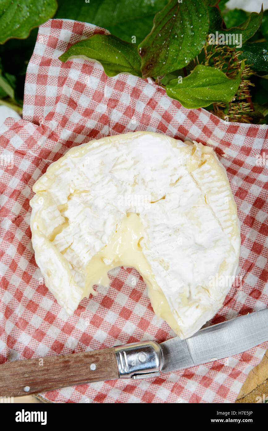 Camembert de normandy hi-res stock photography and images - Alamy