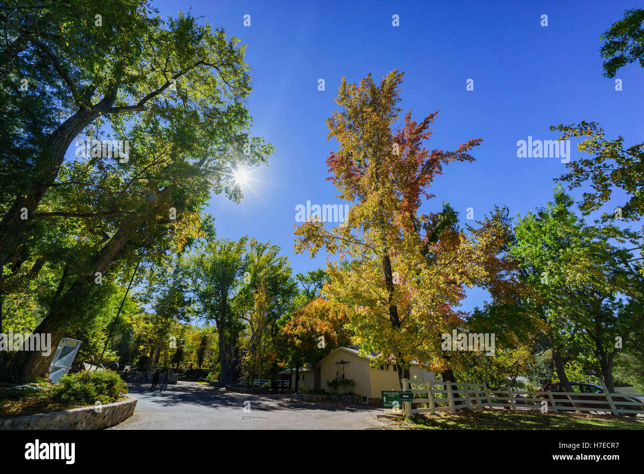 Valyermo hi-res stock photography and images - Alamy