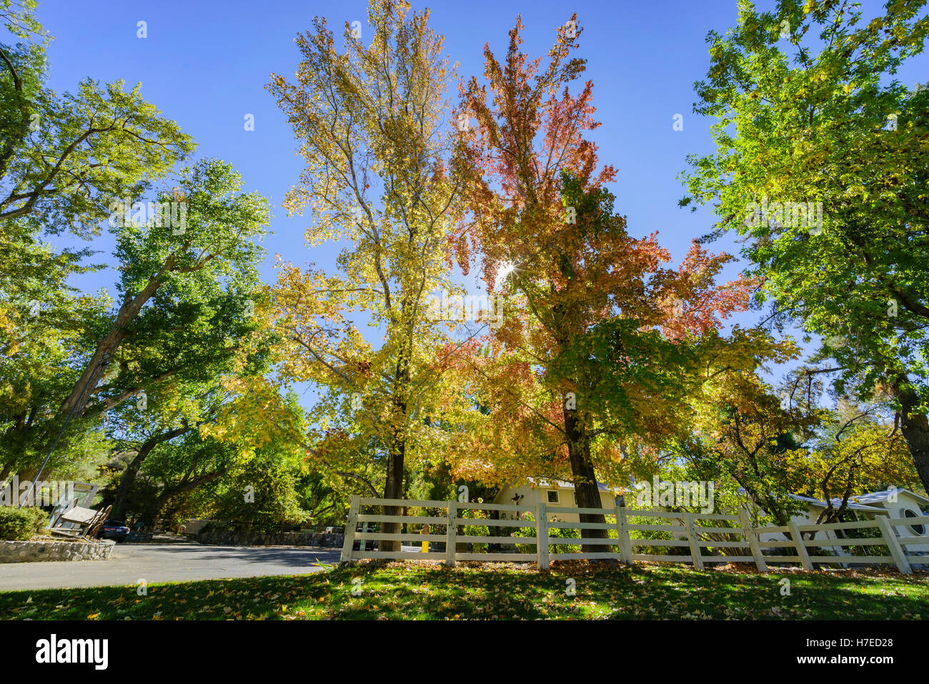 Beautiful fall color of Valyermo, Los Angeles County, California Stock ...