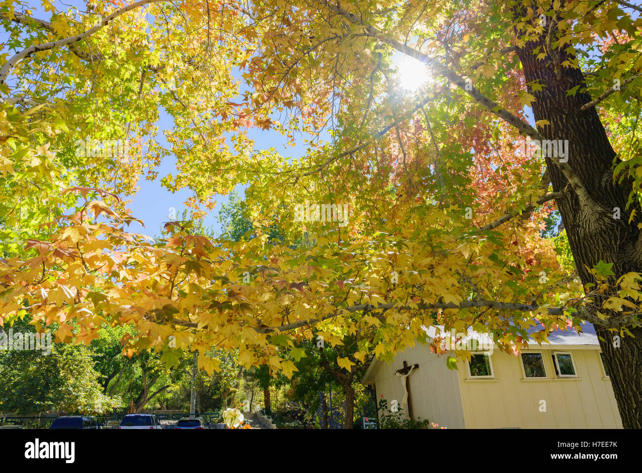 Valyermo hi-res stock photography and images - Alamy