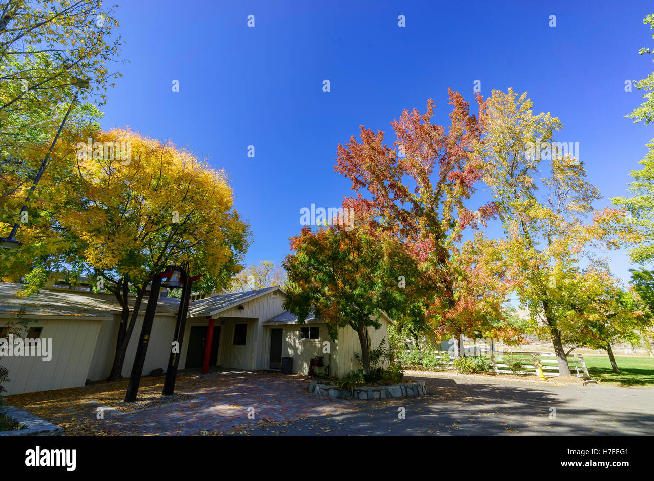 Beautiful fall color with Jesus status of Valyermo, Los Angeles County ...