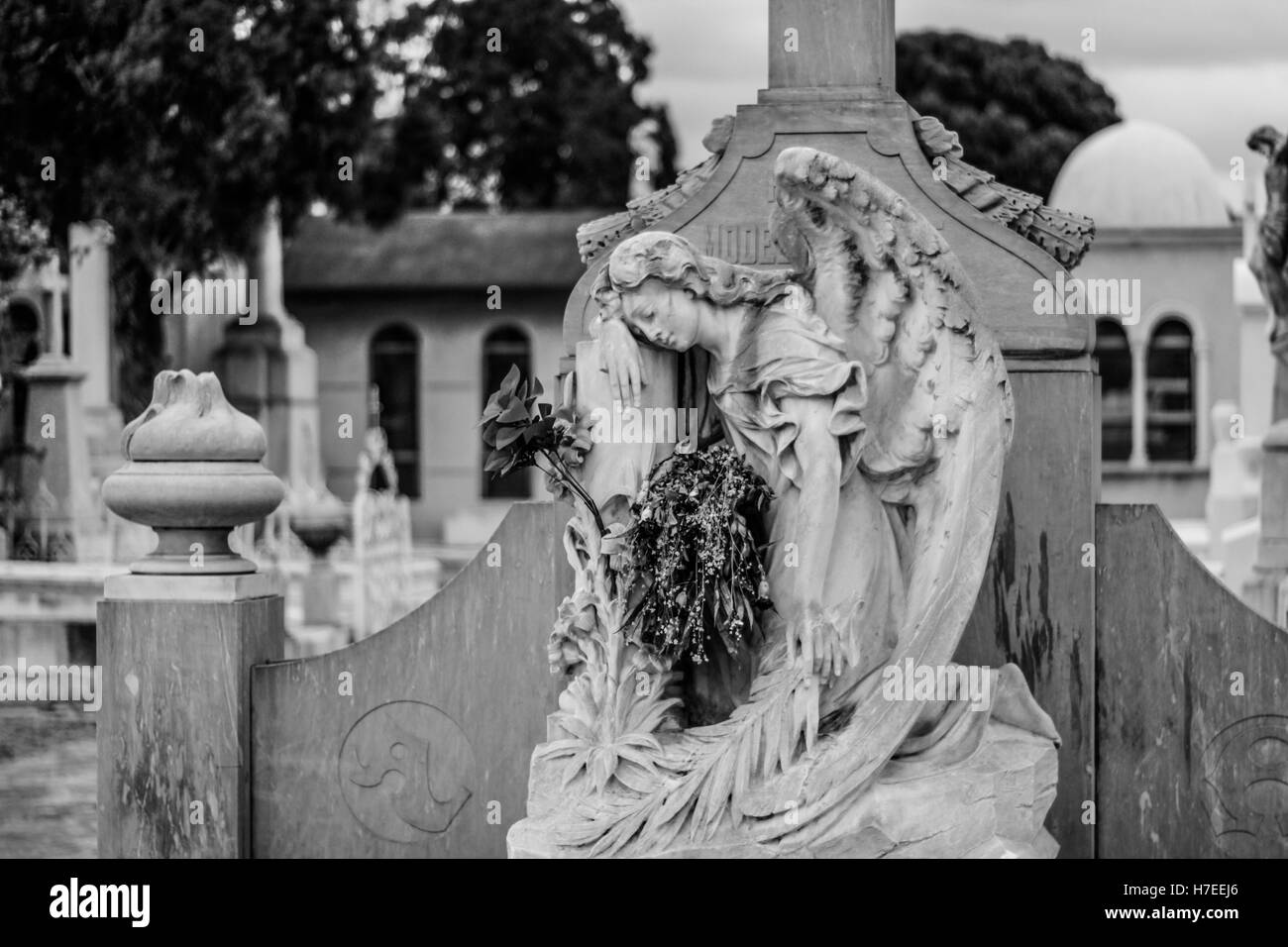 Photograph of an angel monochrome statue Stock Photo - Alamy