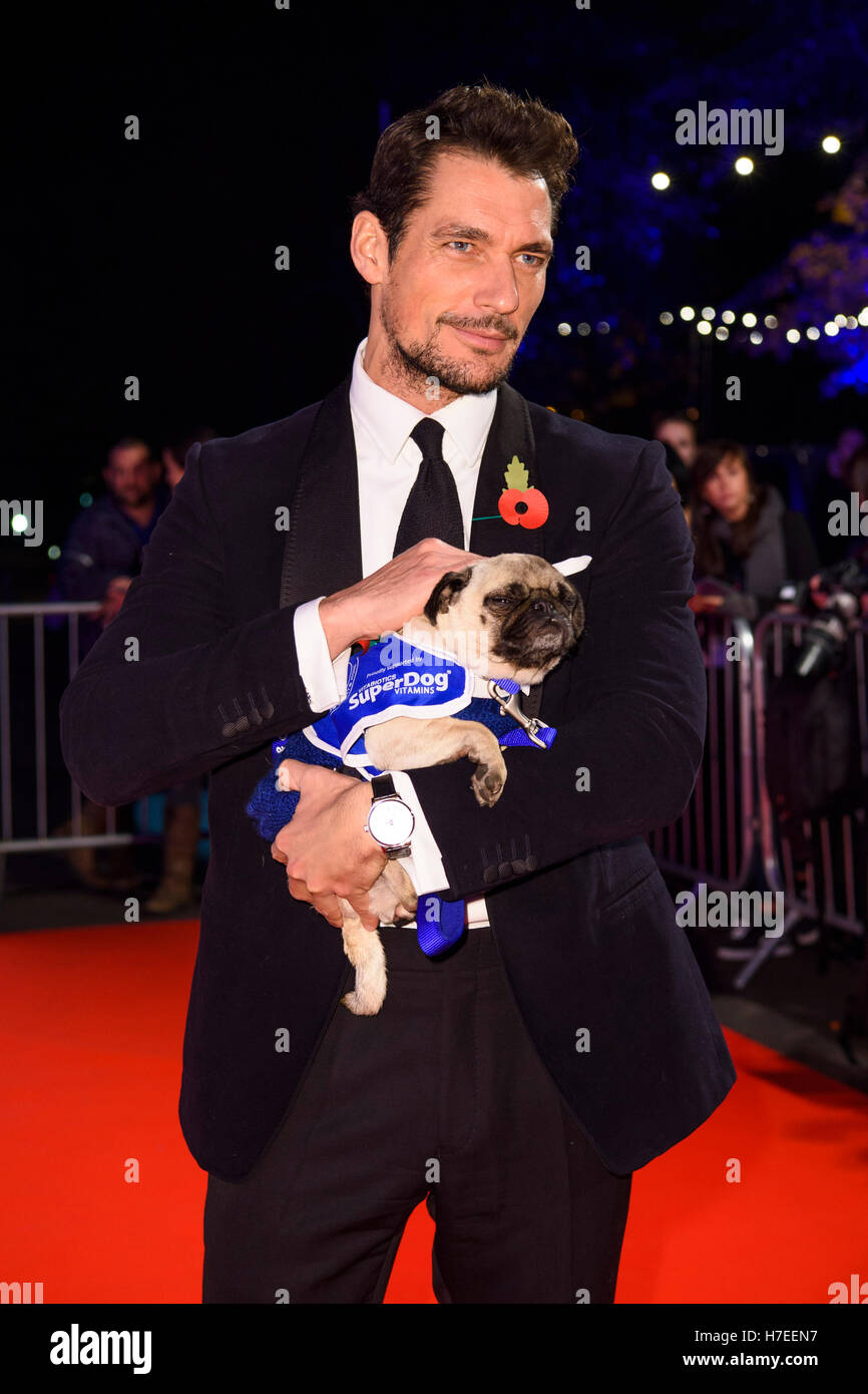 David gandy 2016 hi-res stock photography and images - Alamy