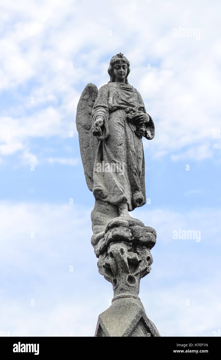 Photograph of an angel monochrome statue Stock Photo - Alamy