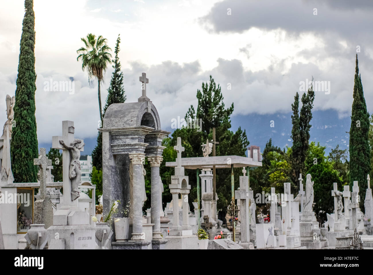 Photograph of white toms in graveyard Stock Photo - Alamy