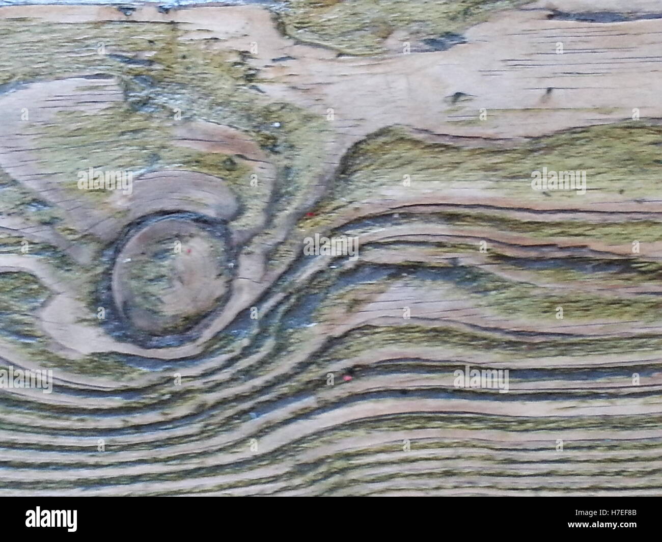 close up of stained wood grain Stock Photo - Alamy