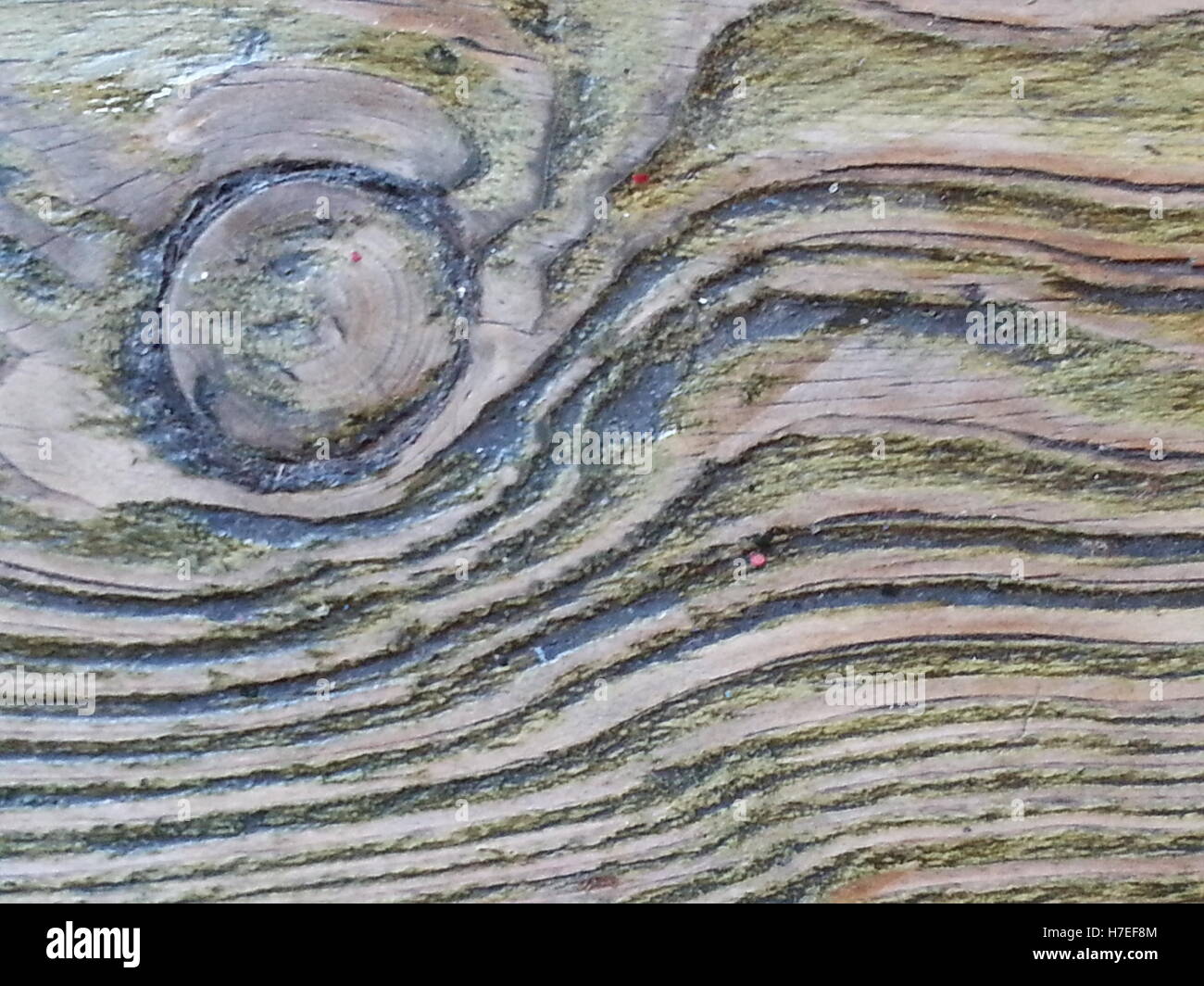 close up of stained wood grain Stock Photo - Alamy