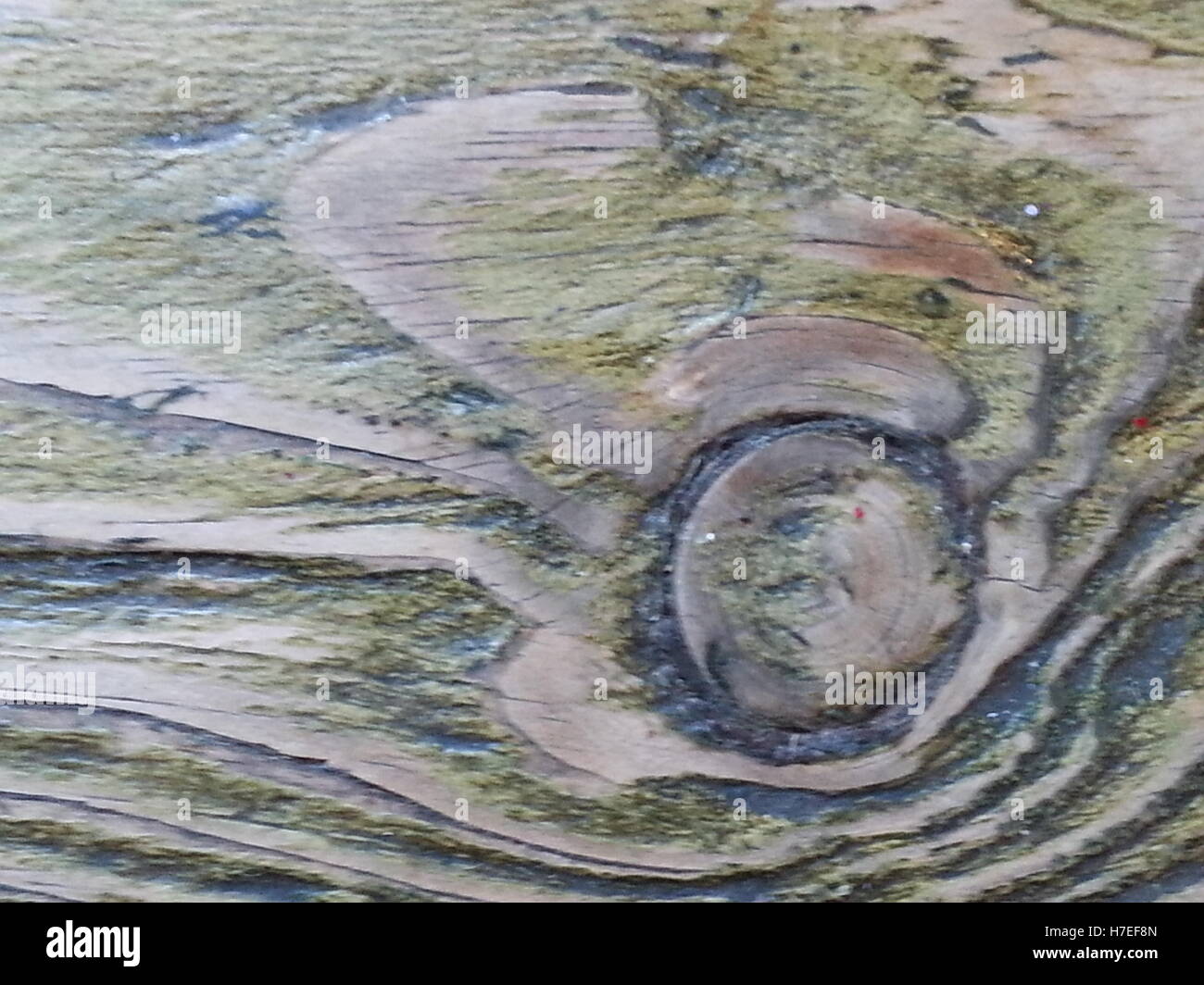 close up of stained wood grain Stock Photo - Alamy