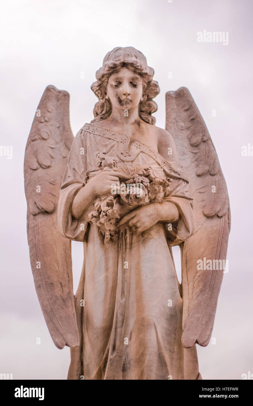 Photograph of an angel monochrome statue Stock Photo - Alamy