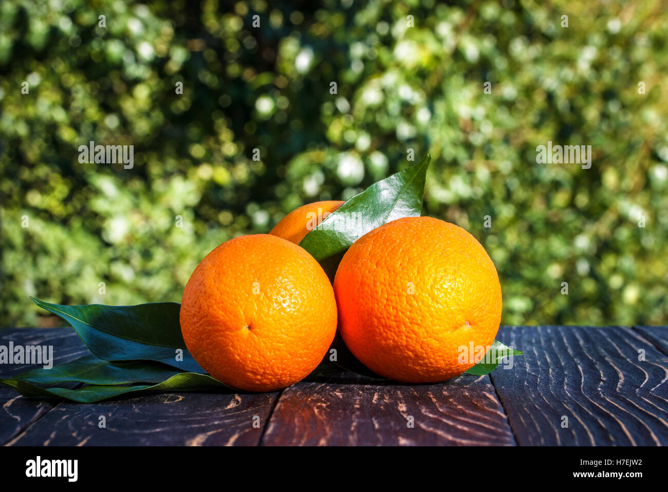 Orange color nature hi-res stock photography and images - Alamy