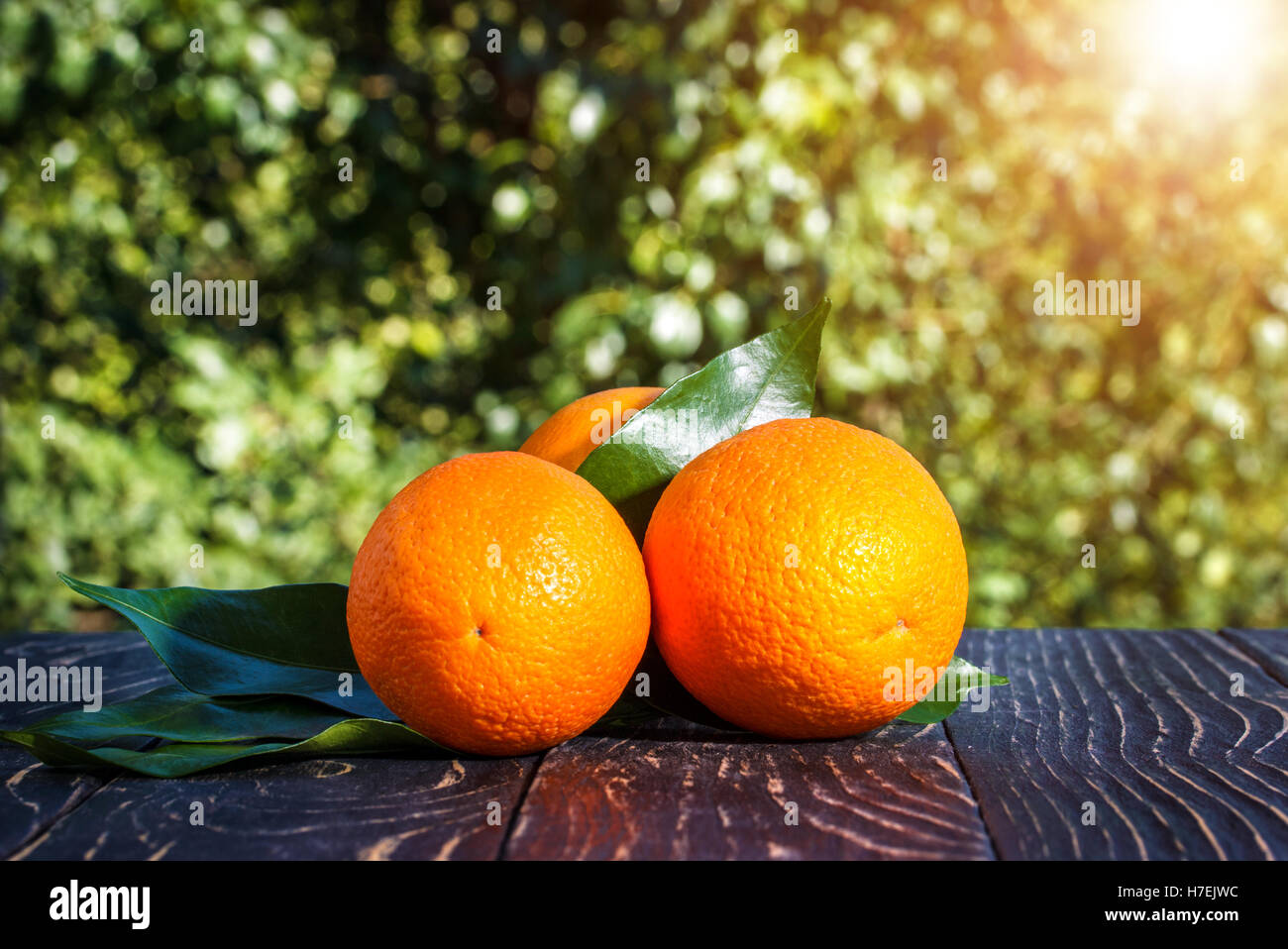 Closeup color hi-res stock photography and images - Alamy