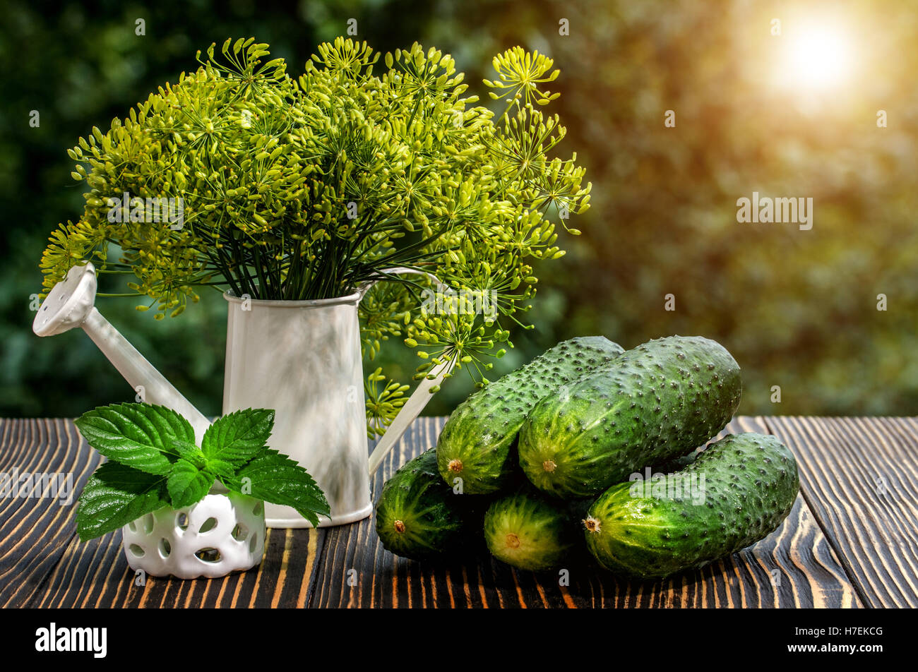 Close sliced cucumbers on hi-res stock photography and images - Alamy