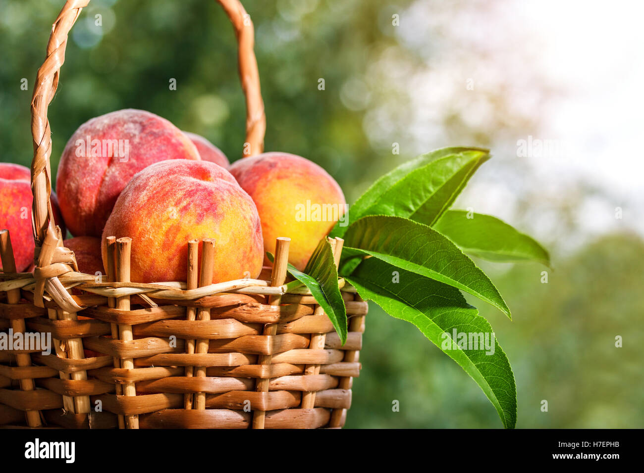 Peaches and fruit hi-res stock photography and images - Alamy