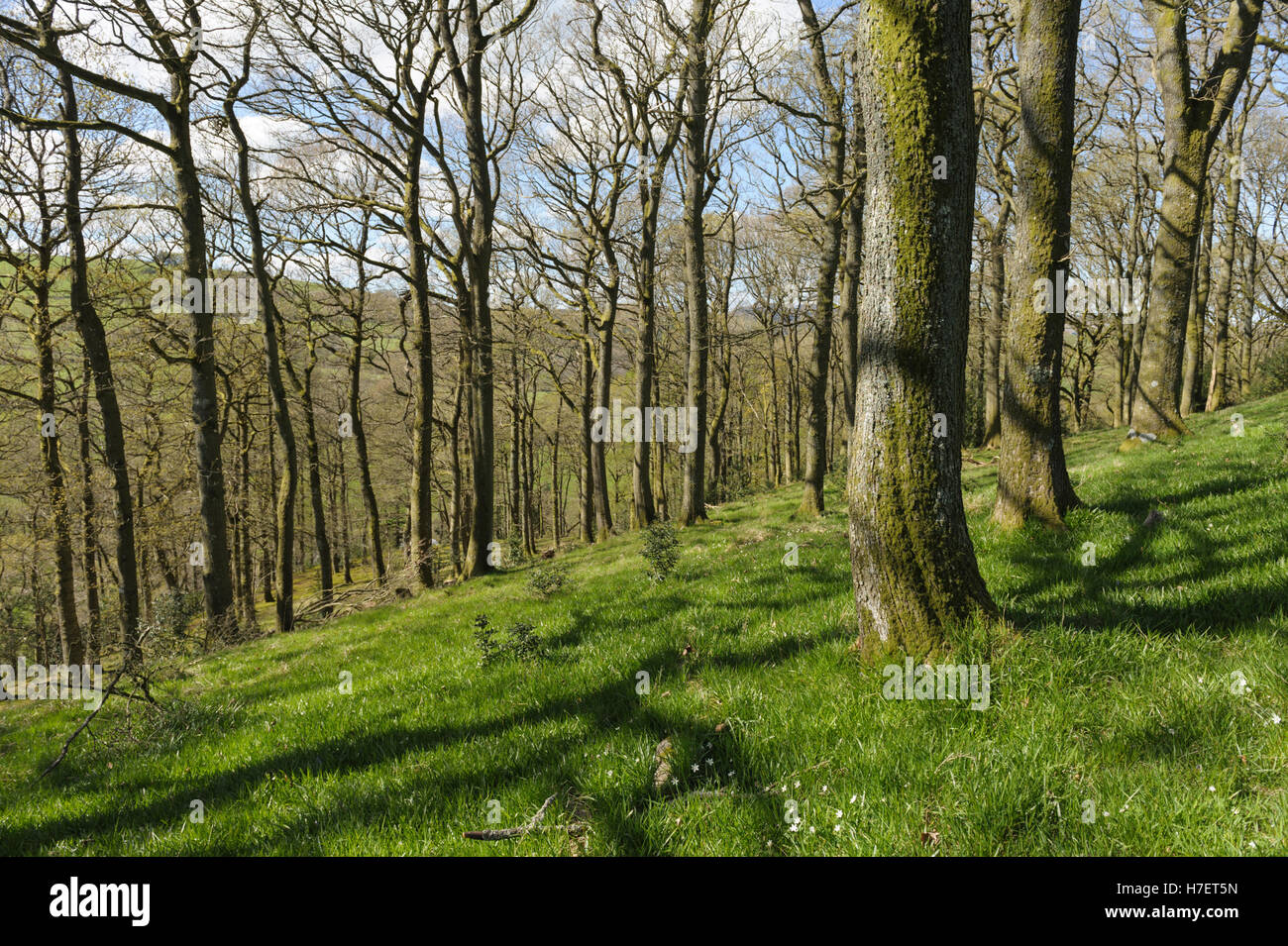 On the welsh border hi-res stock photography and images - Alamy