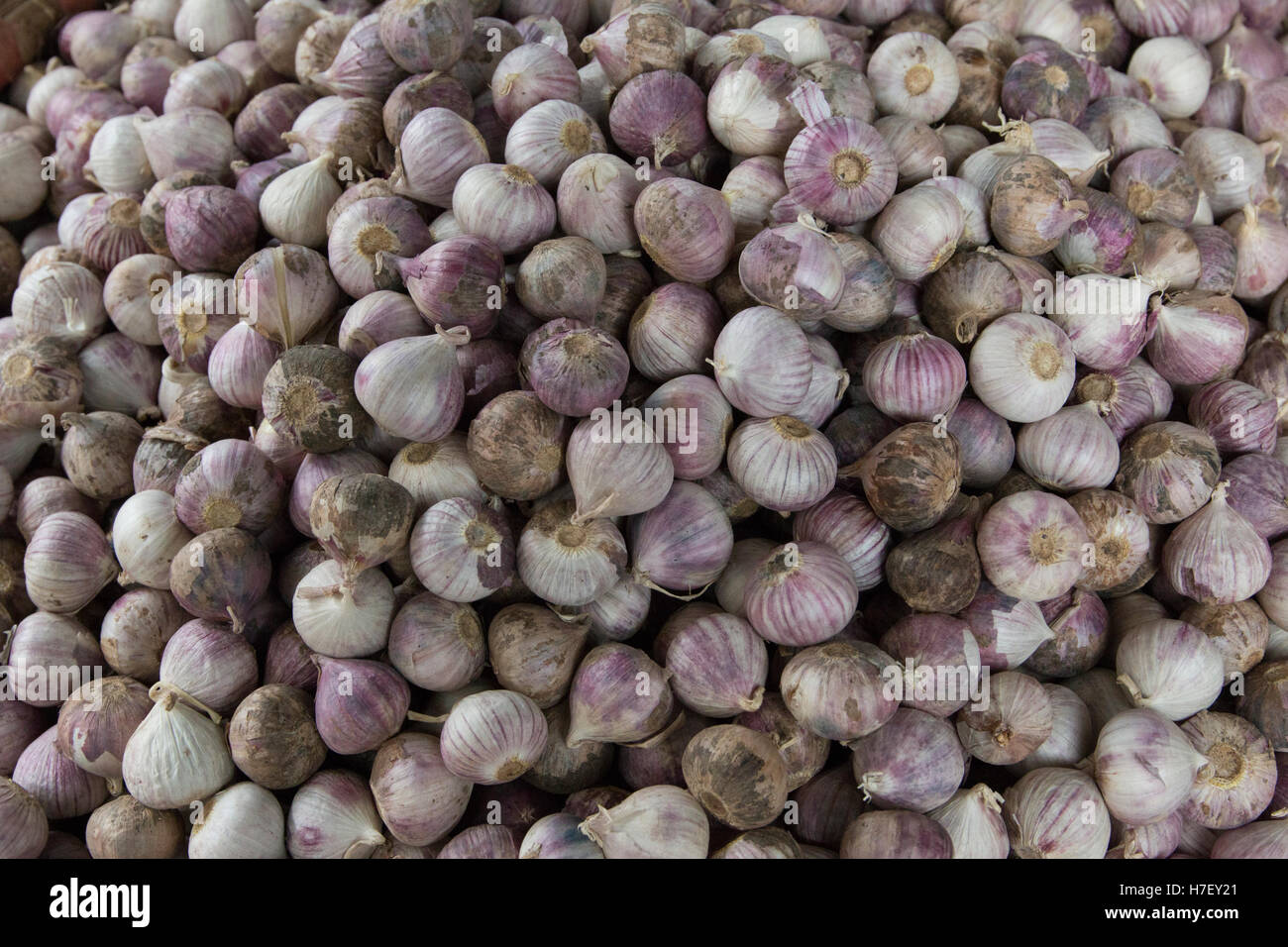 Heap of garlic Stock Photo - Alamy