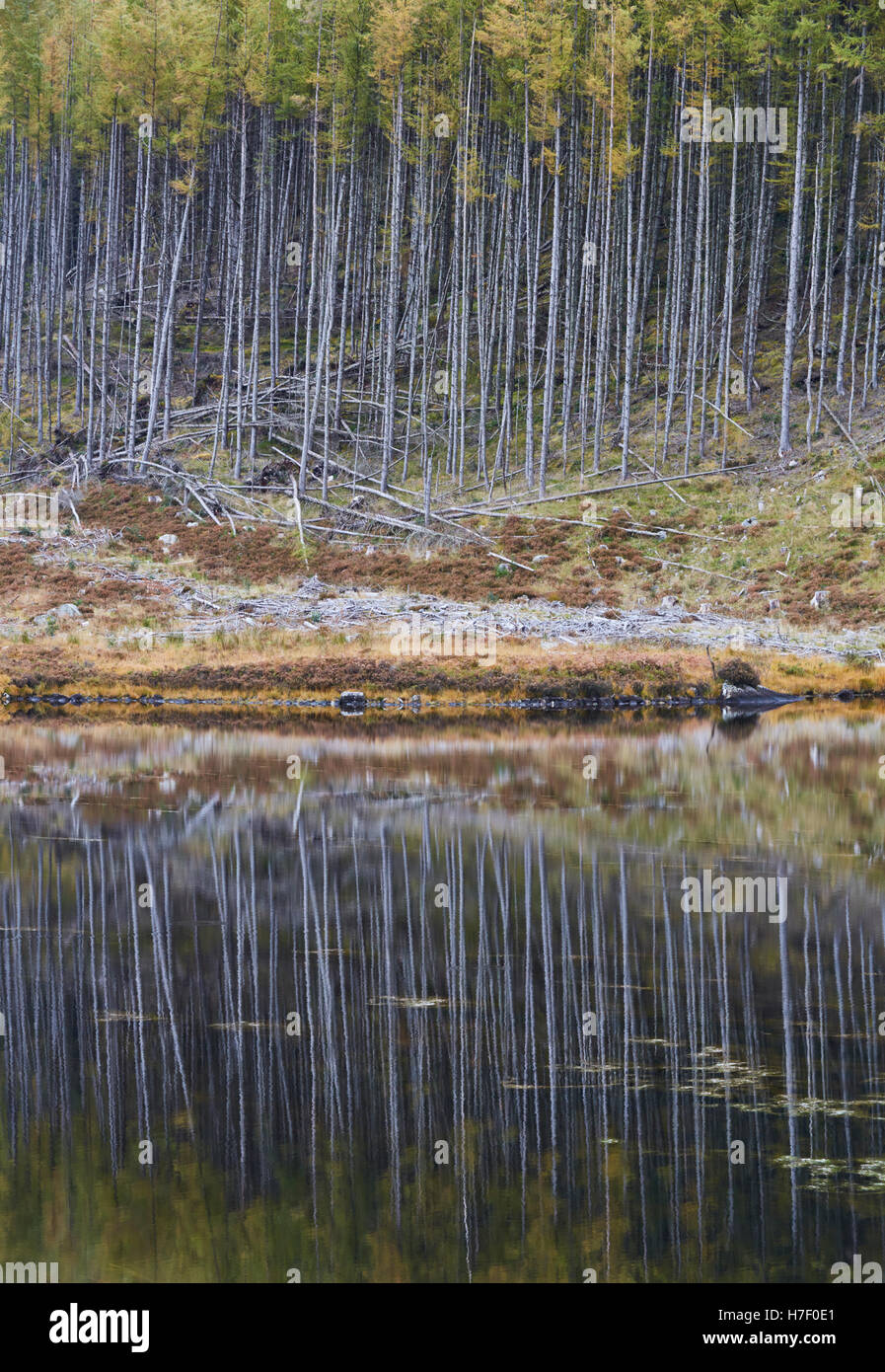 Loch doilet hi-res stock photography and images - Alamy