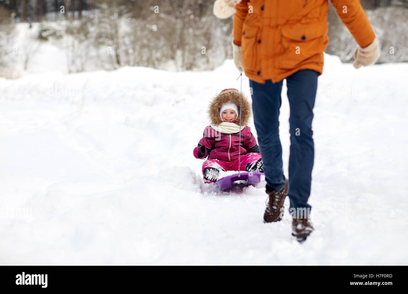 father pulling sled with happy child in winter Stock Photo - Alamy