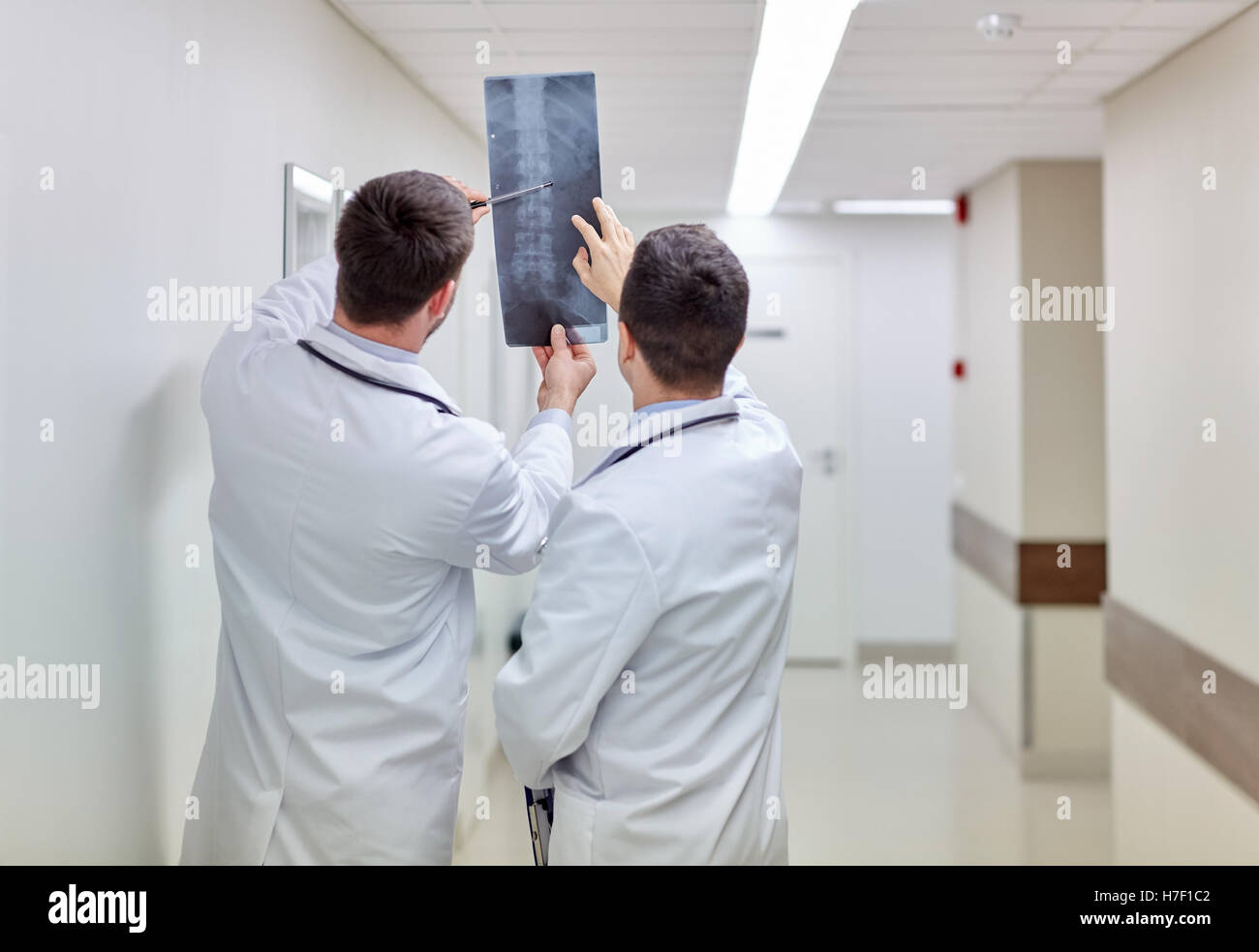 medics with spine x-ray scan at hospital Stock Photo - Alamy