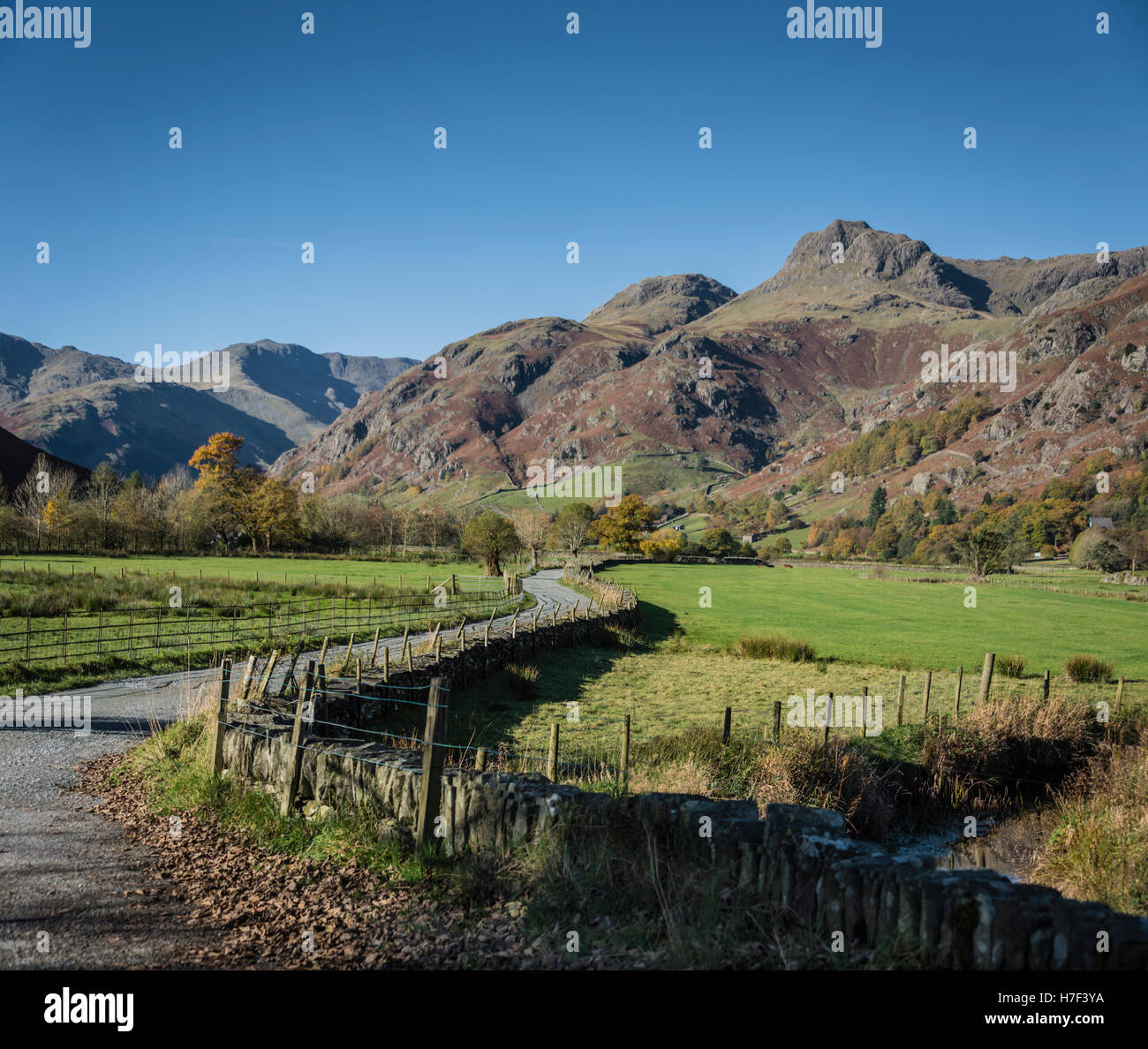 Langdale Valley bridlepath, Lake District, Cumbria, UK Stock Photo - Alamy