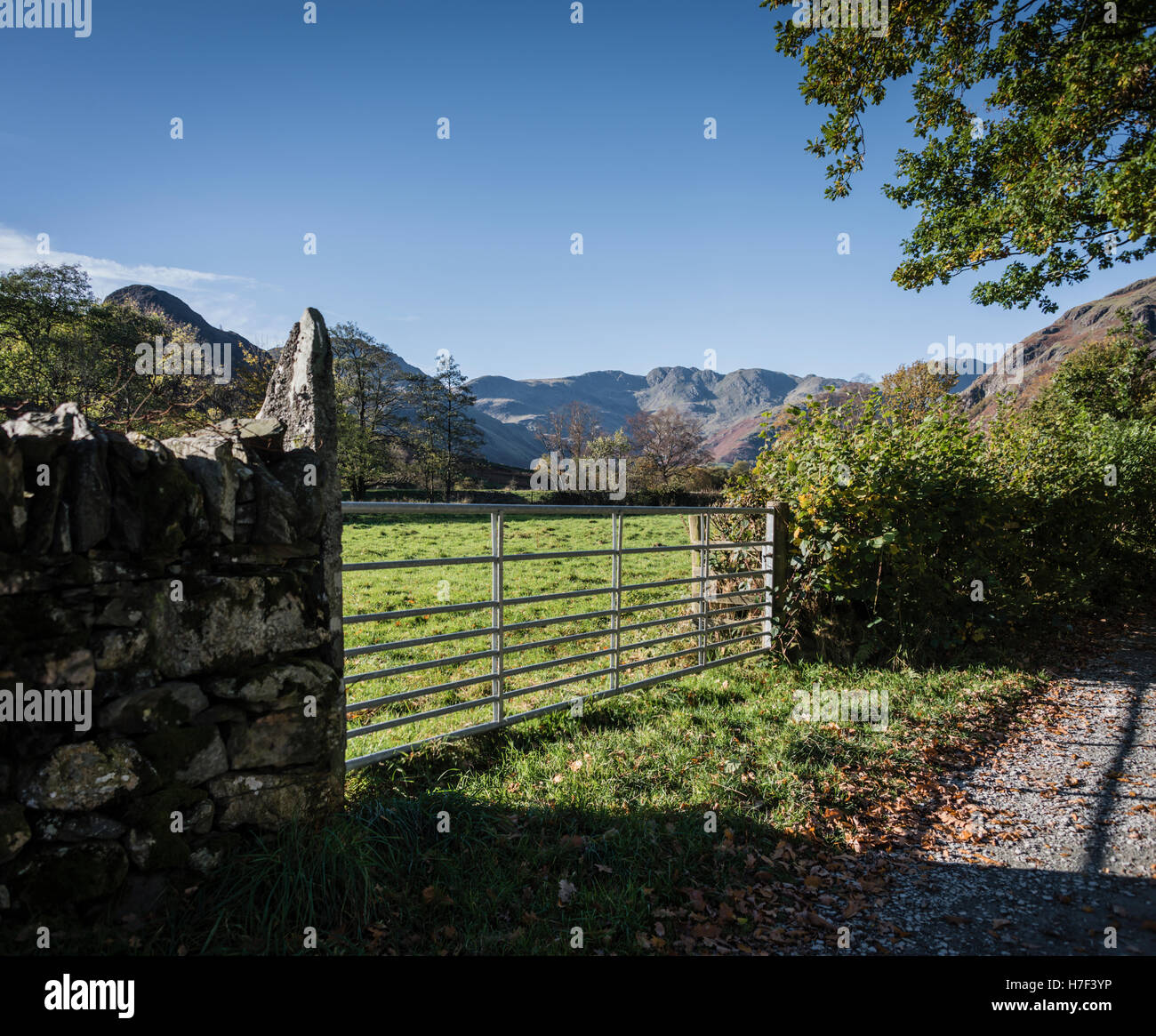 Langdale Valley bridlepath, Lake District, Cumbria, UK Stock Photo - Alamy