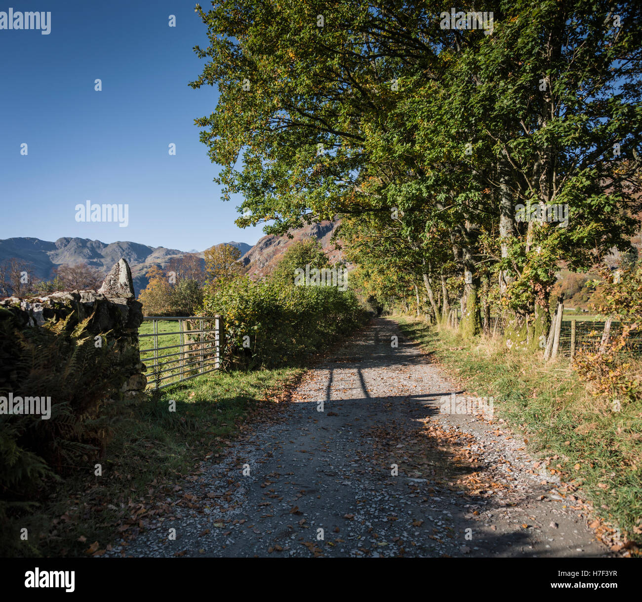 Langdale Valley bridlepath, Lake District, Cumbria, UK Stock Photo - Alamy