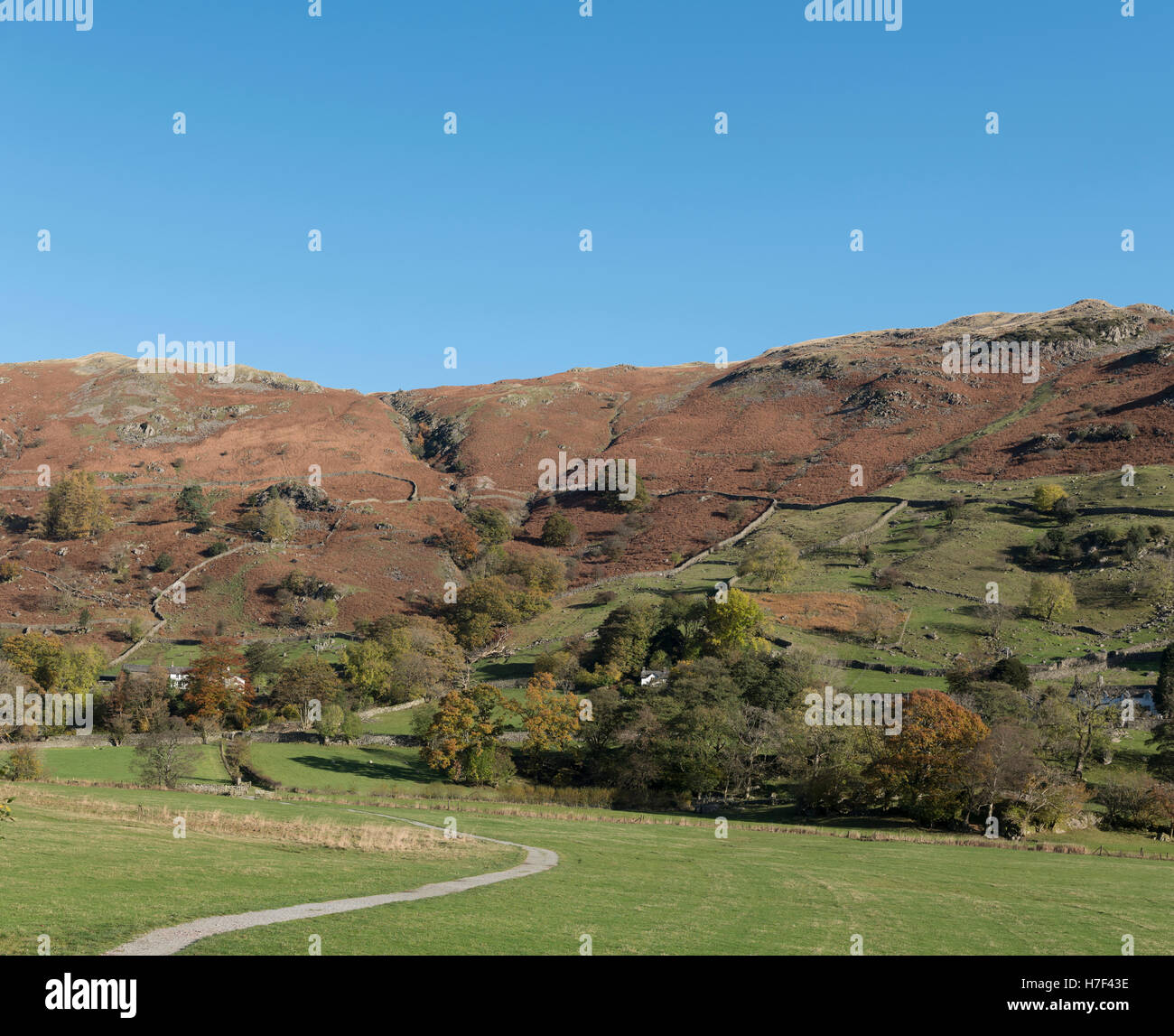 Langdale Valley, Lake District, Cumbria, UK Stock Photo - Alamy