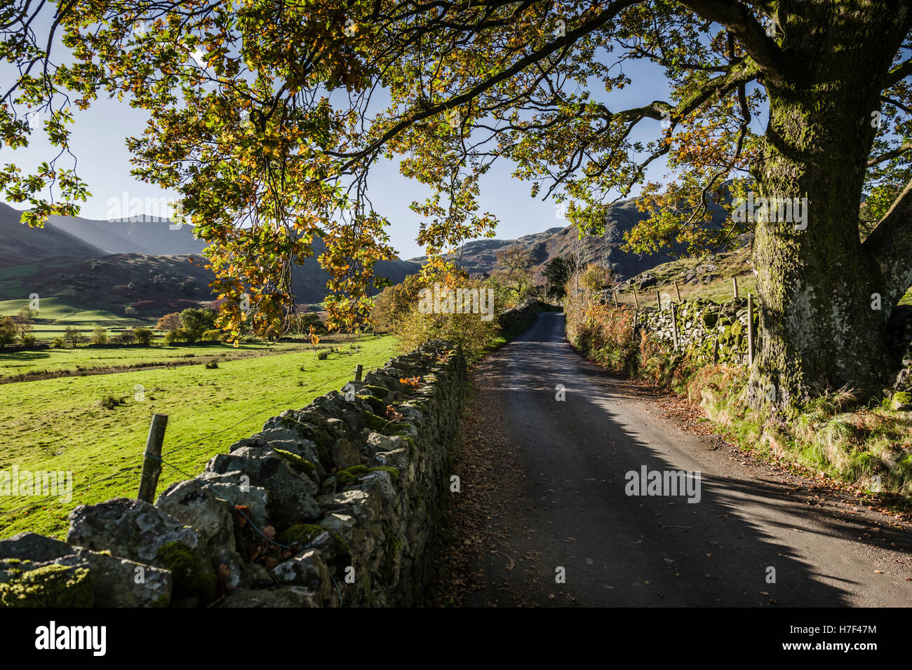 Little Langdale Valley, Lake District, Cumbria, UK Stock Photo - Alamy