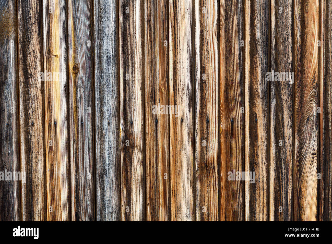 Horizontal Wood Background 369,069 Horizontal Wood Background Stock