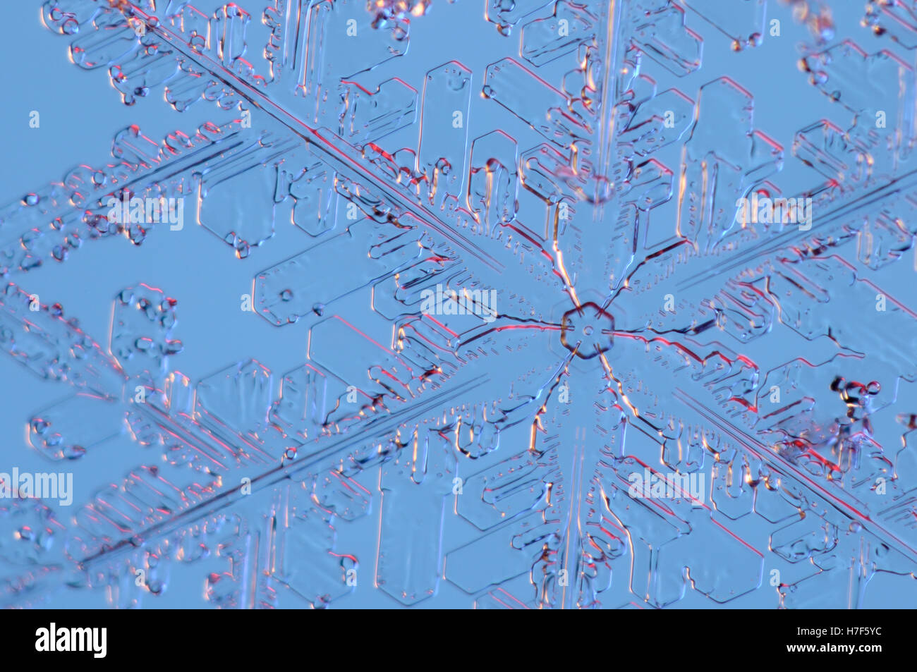 Ice microscope hi-res stock photography and images - Alamy