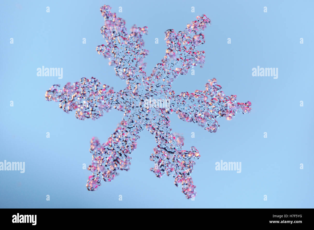 Snowflakes microscope hi-res stock photography and images - Alamy