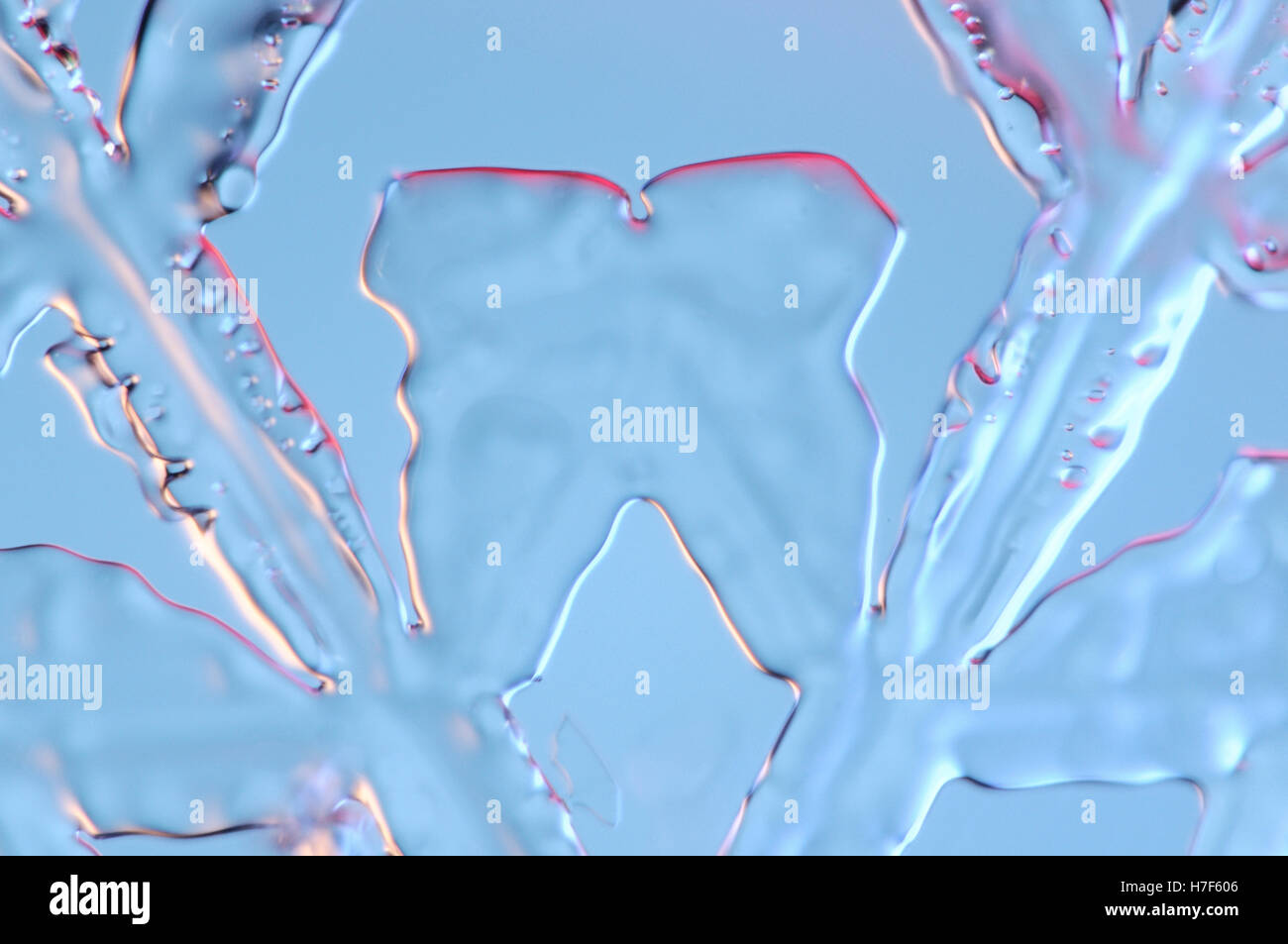 Snowflake magnified under microscope Stock Photo - Alamy