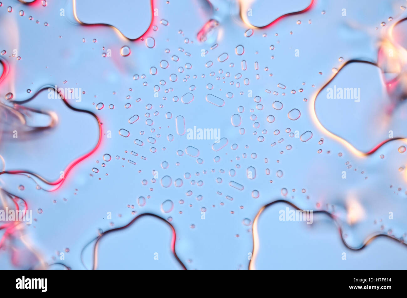 Snowflake magnified under microscope Stock Photo - Alamy