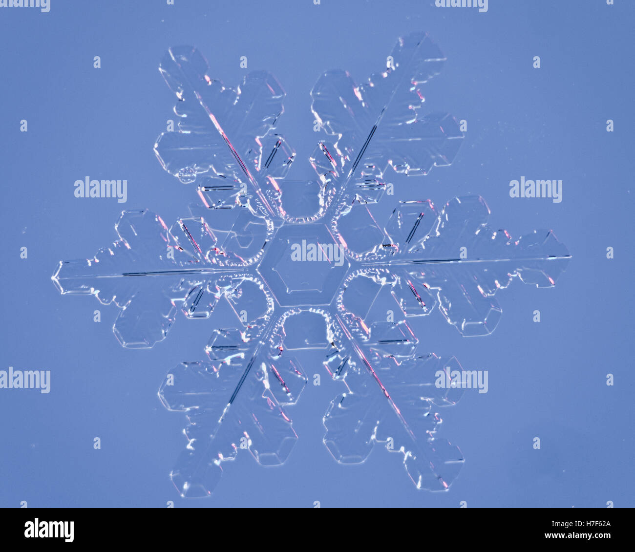 Frostig High Resolution Stock Photography and Images - Alamy