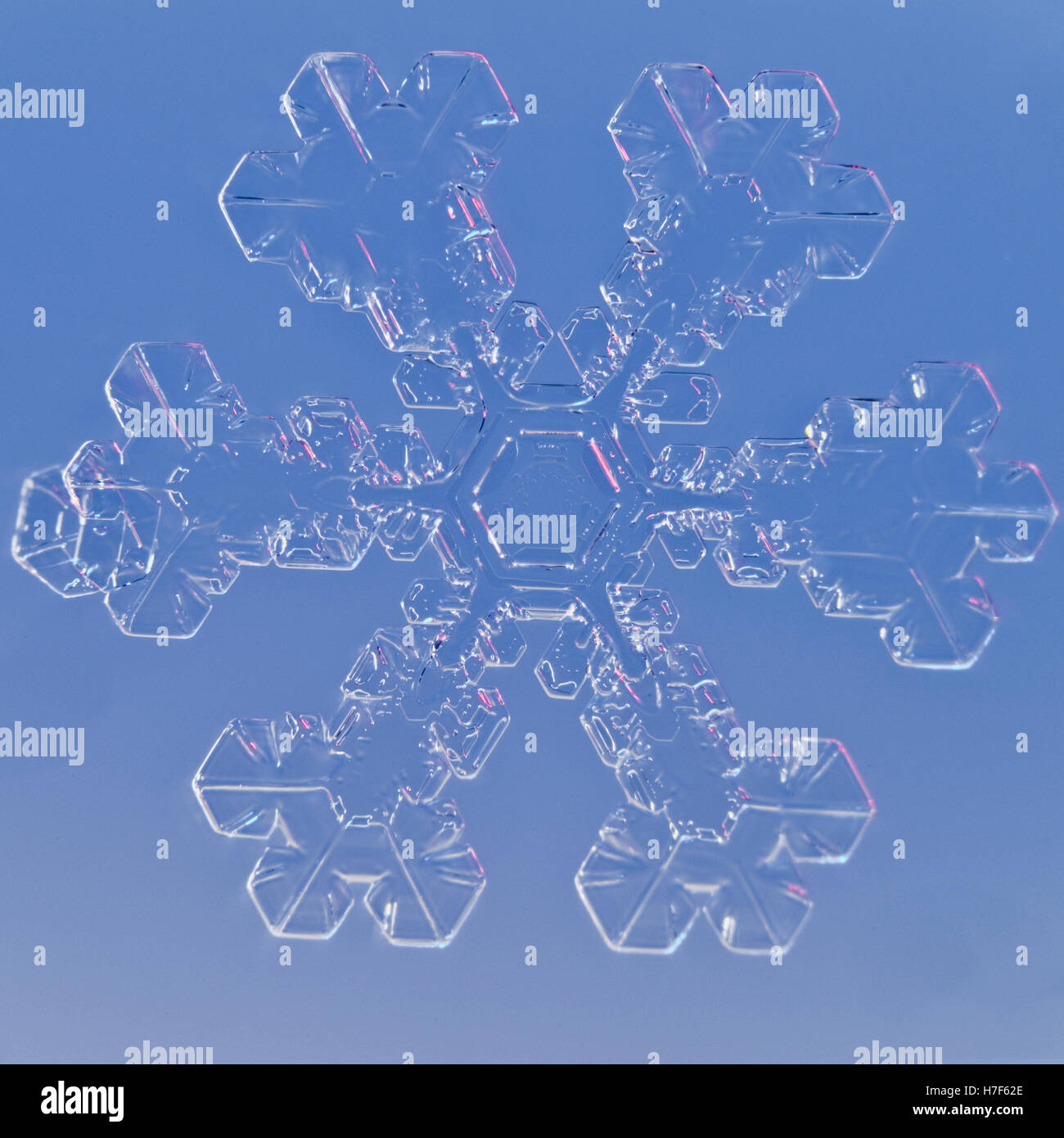 Snowflake Microscope Stock Photos & Snowflake Microscope Stock Images ...