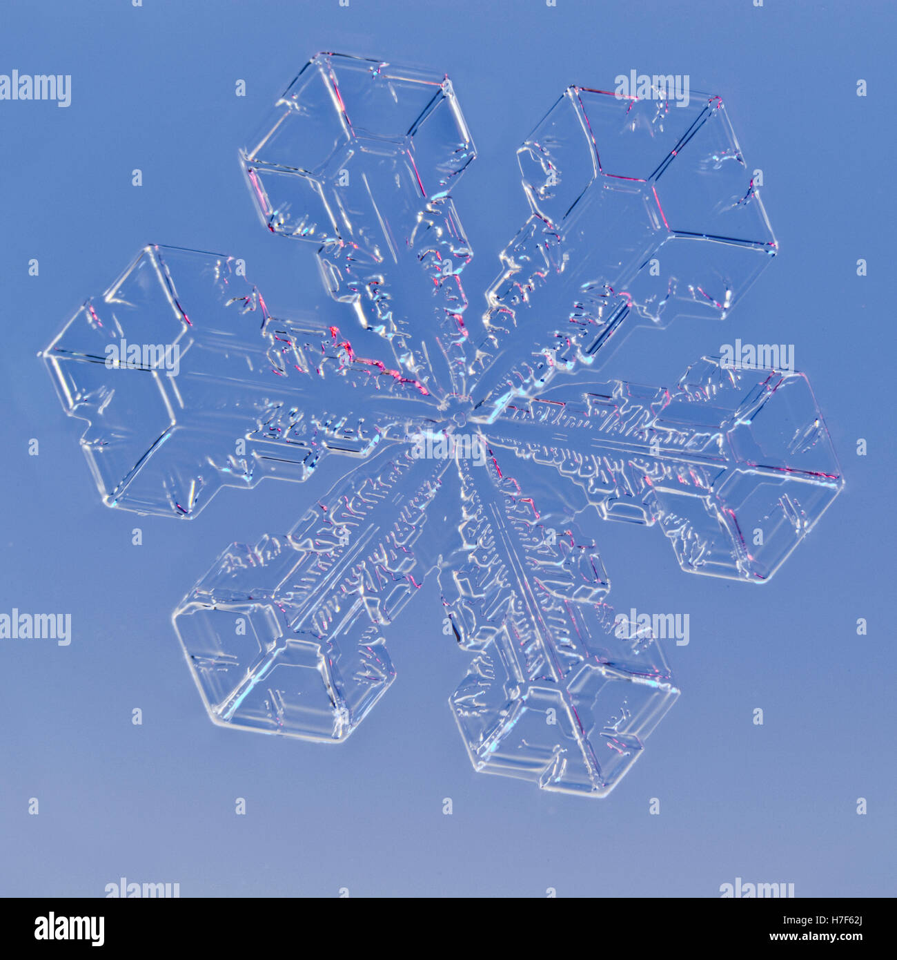 Snowflakes Microscope High Resolution Stock Photography and Images - Alamy