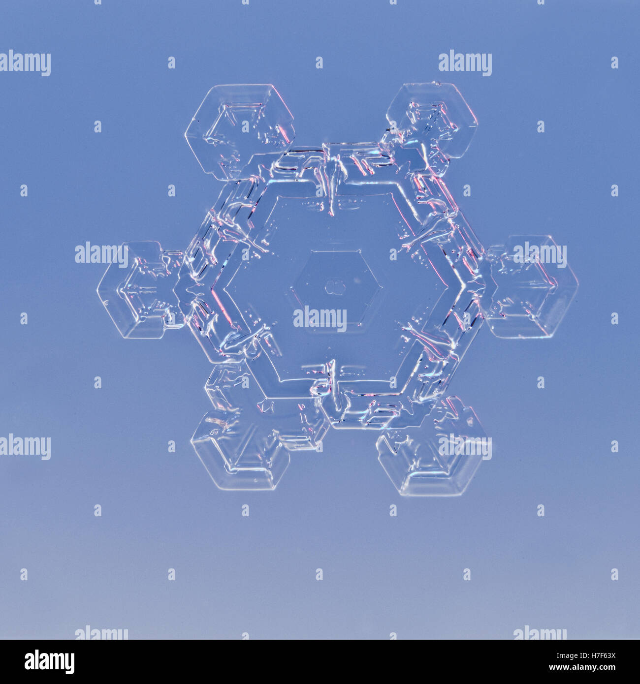 Ice Crystals Microscope High Resolution Stock Photography and Images ...