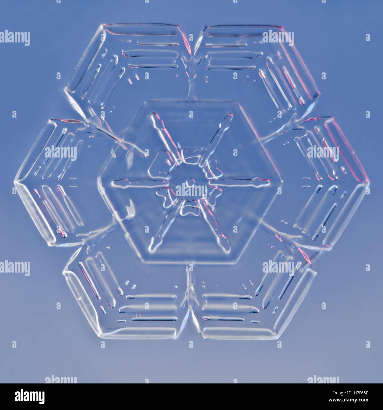 Snowflake Microscope Stock Photos & Snowflake Microscope Stock Images ...