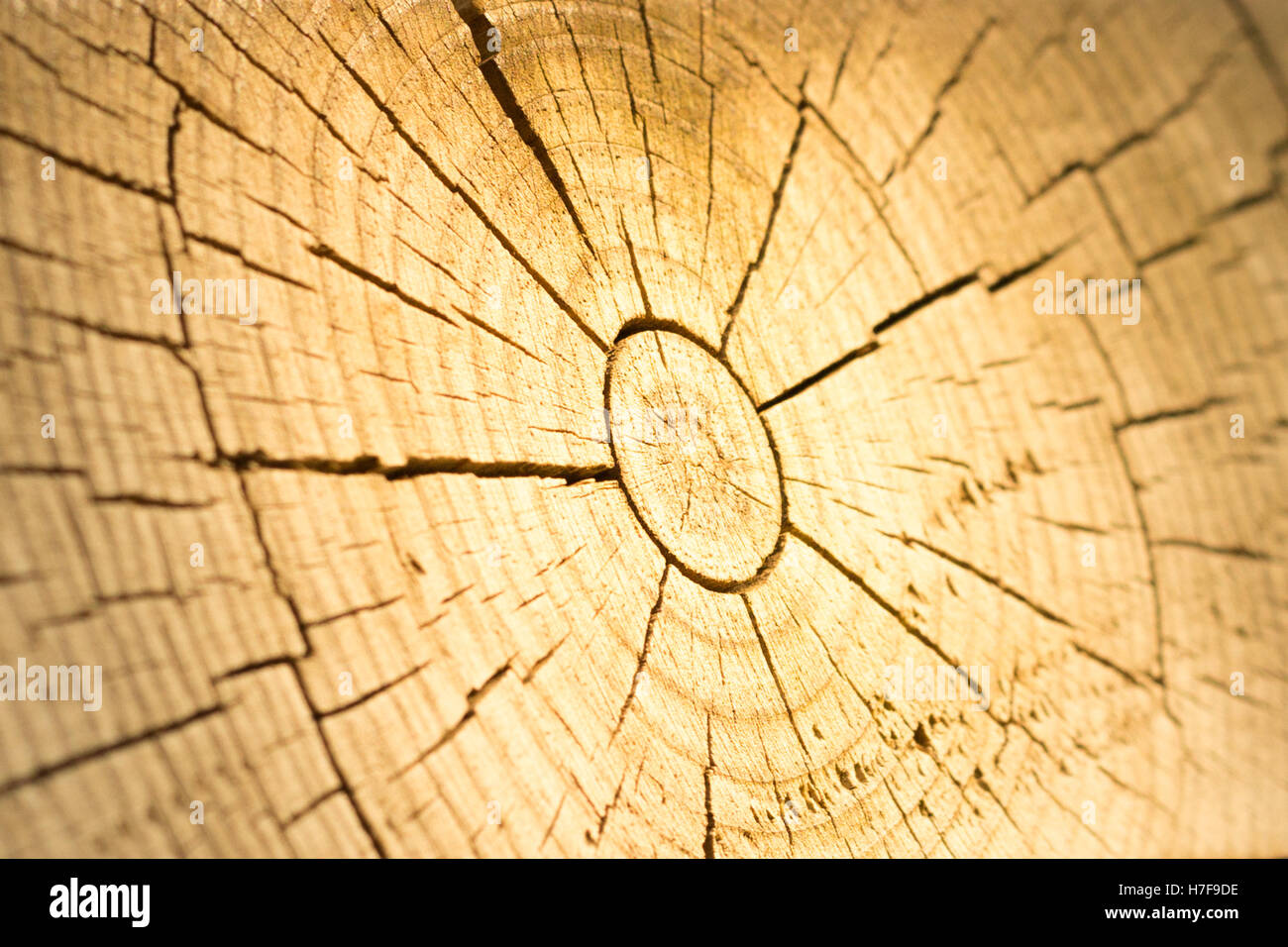 Wood fracture hi-res stock photography and images - Alamy