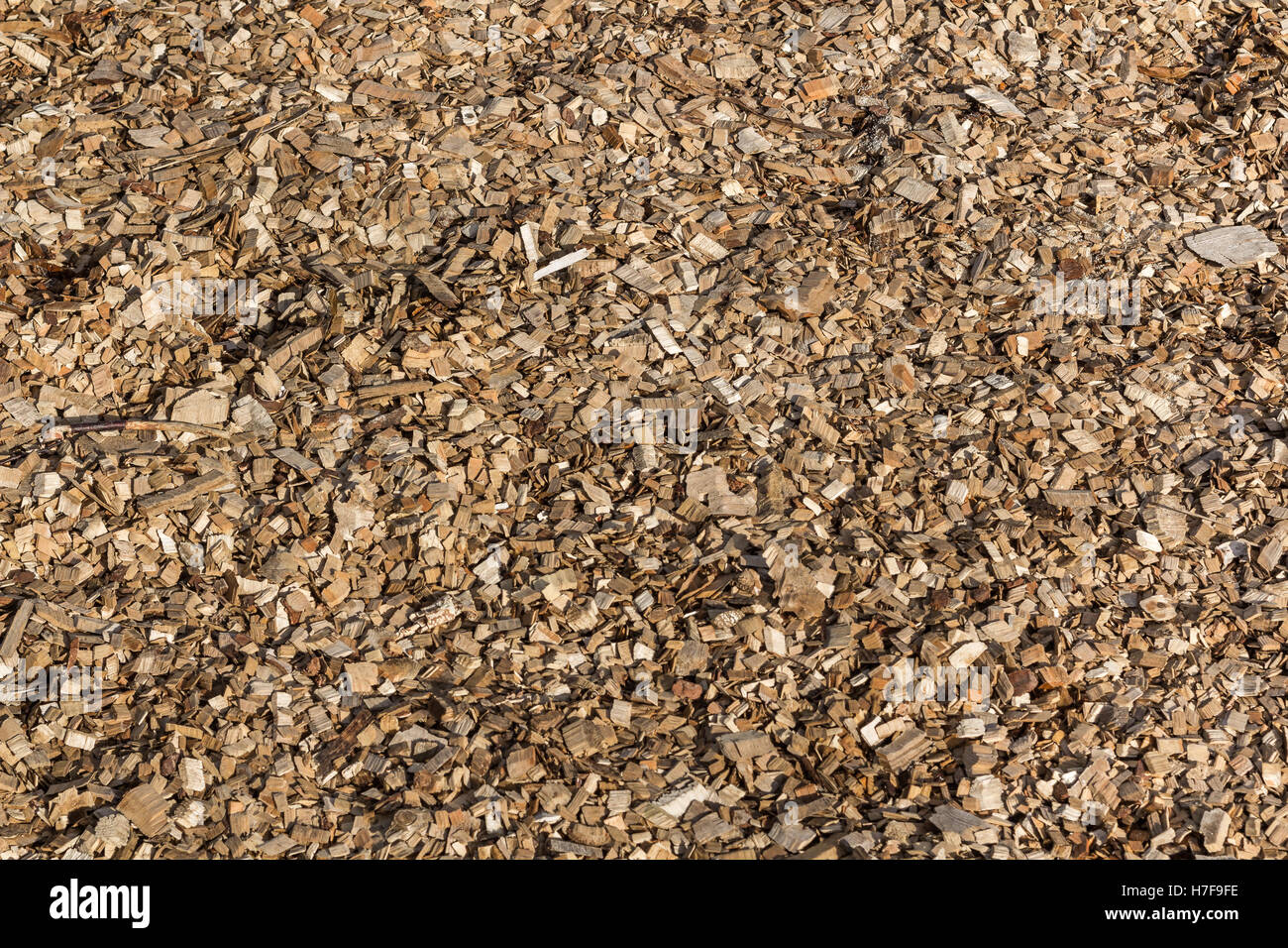 Wood splinter hi-res stock photography and images - Alamy