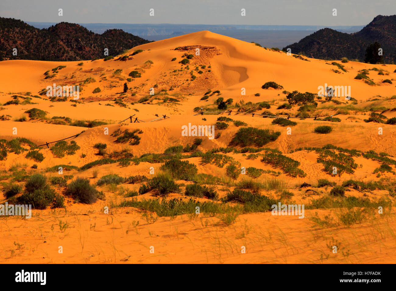 Coral Pink Sand Dunes State Park, Utah, USA Stock Photo - Alamy