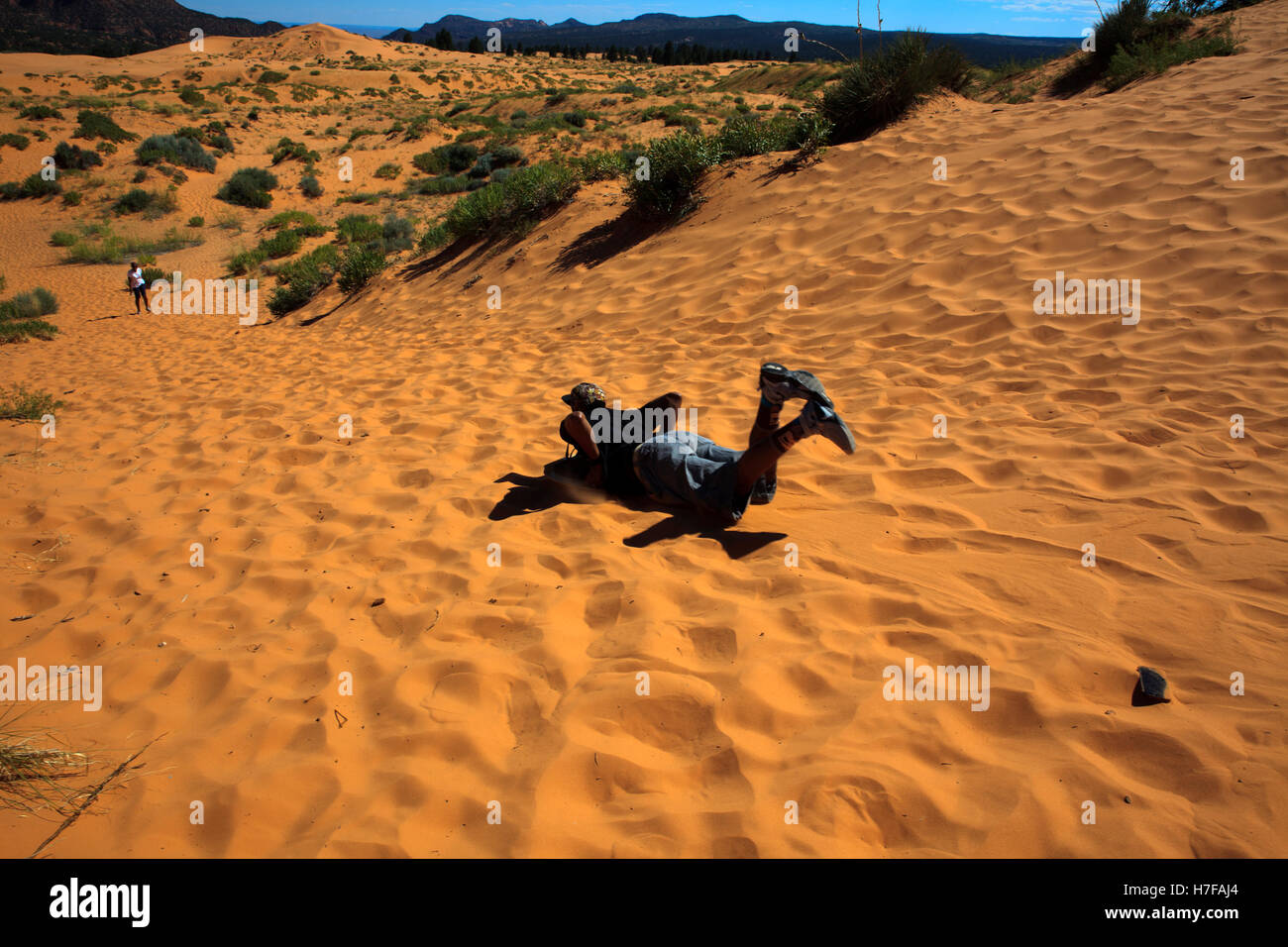 Coral Pink Sand Dunes State Park, Utah, USA Stock Photo - Alamy