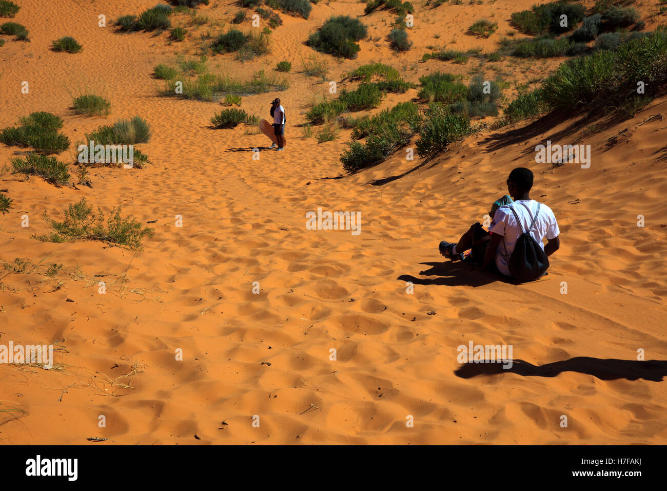 Coral Pink Sand Dunes State Park, Utah, USA Stock Photo - Alamy