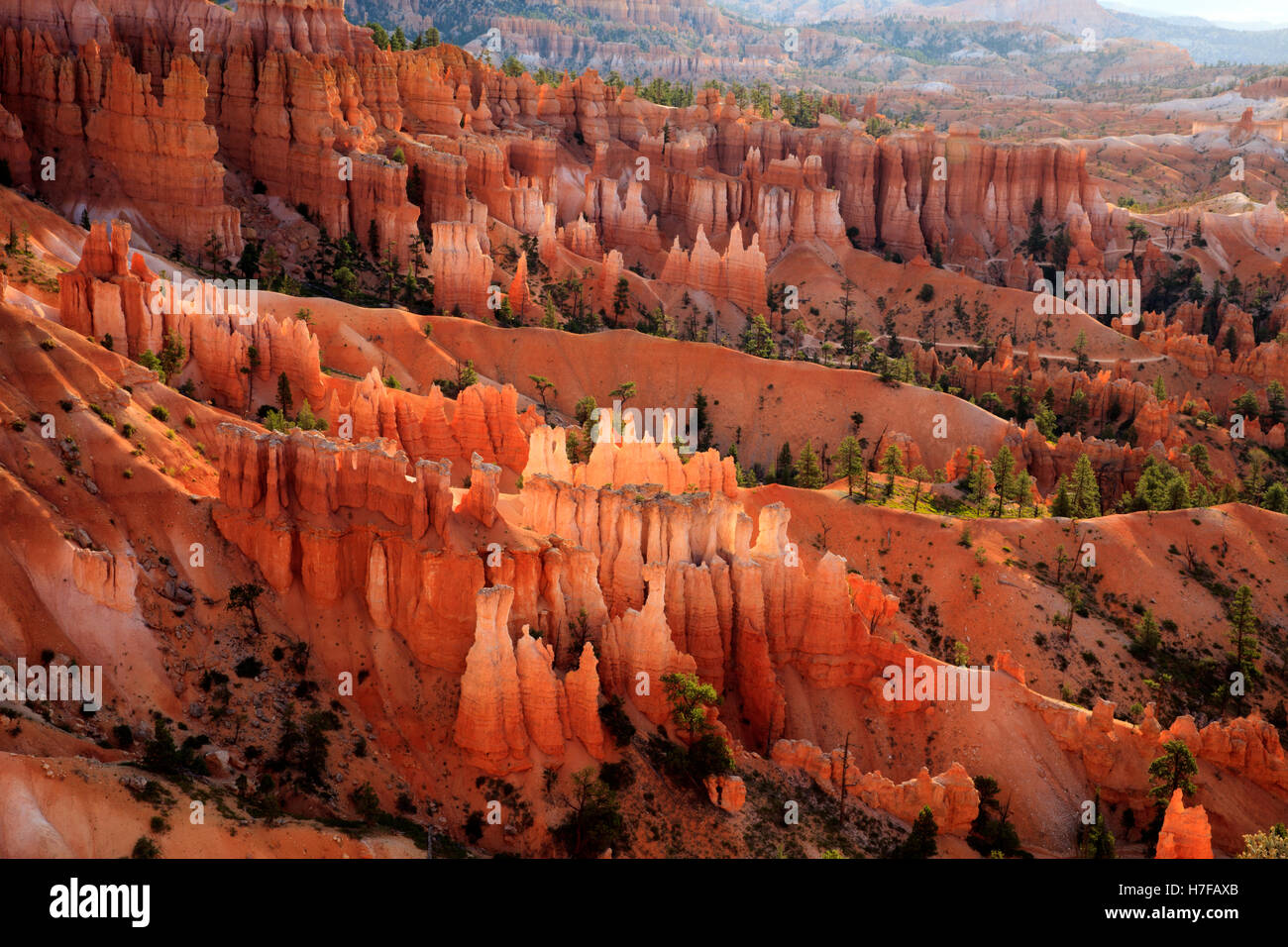Hoodoo rock formations in Bryce Canyon National Park, Utah, USA Stock ...