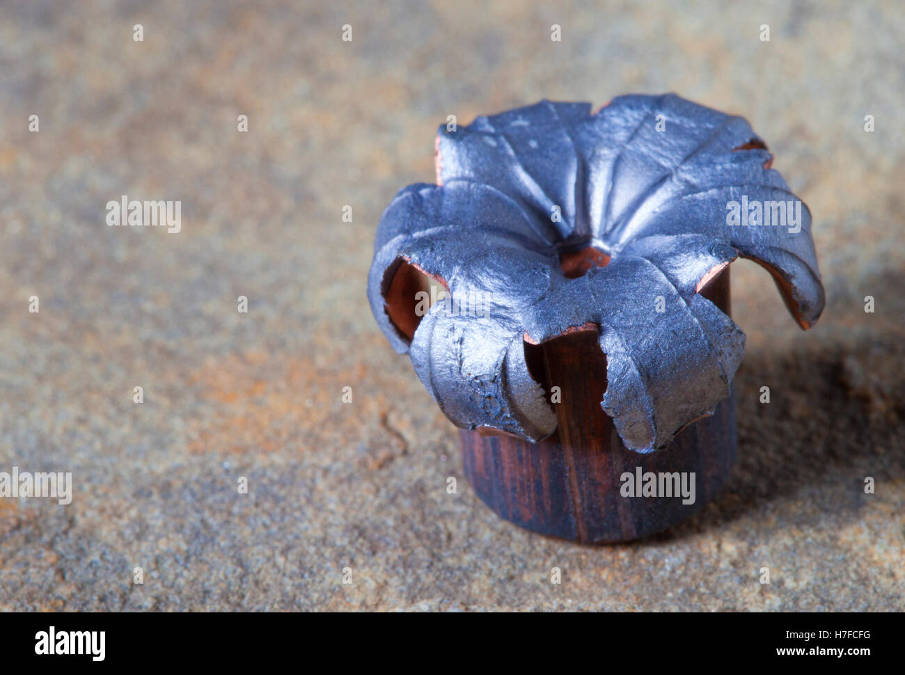 Hollow point bullet with a copper jacket that has expanded in a target ...