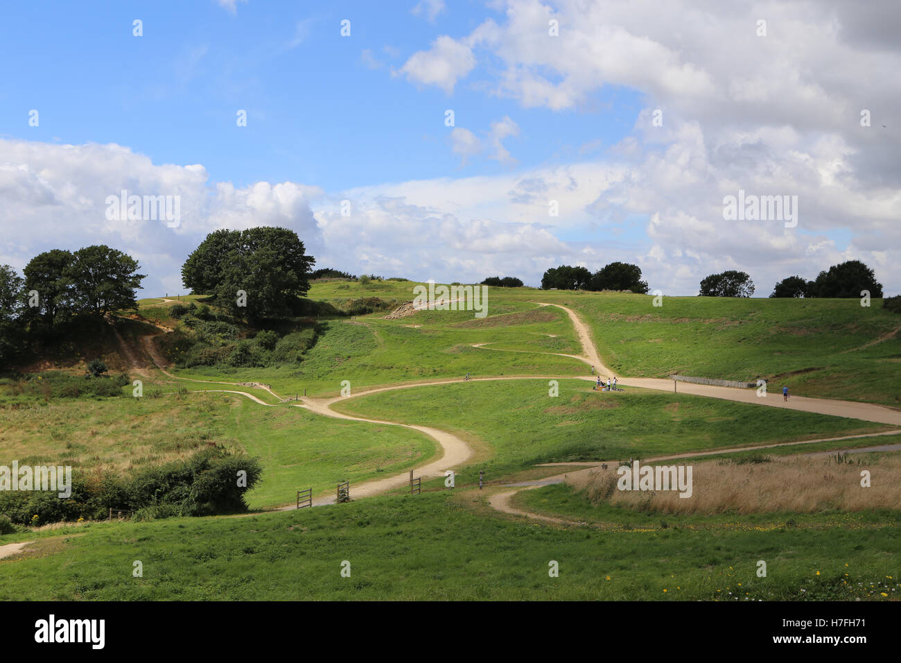 Hadleigh park hi-res stock photography and images - Alamy