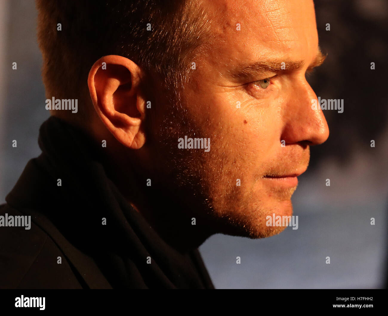 Showbiz mcgregor headshot head shot portrait hi-res stock photography ...