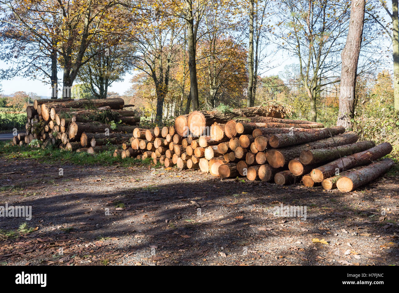 Sussendell hi-res stock photography and images - Alamy