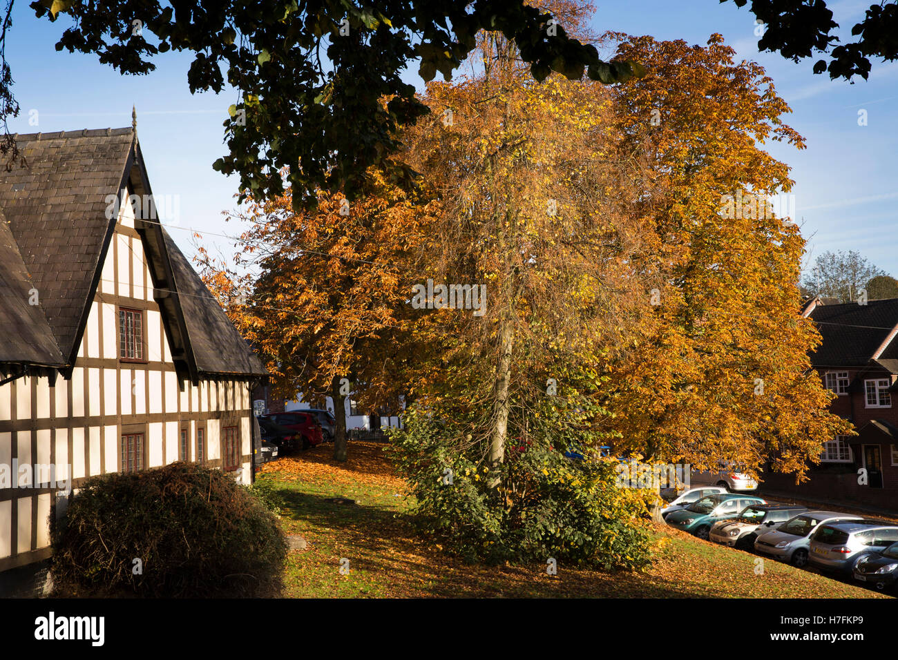 Bank of trees hi-res stock photography and images - Alamy