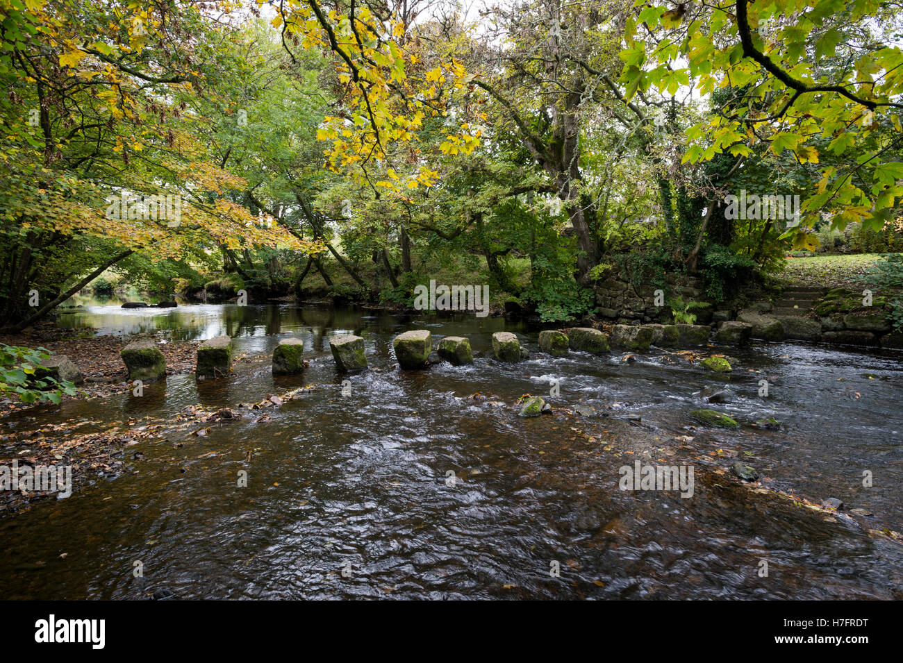Stepping stones to Dunsford across the River Teign, Bridford Wood ...